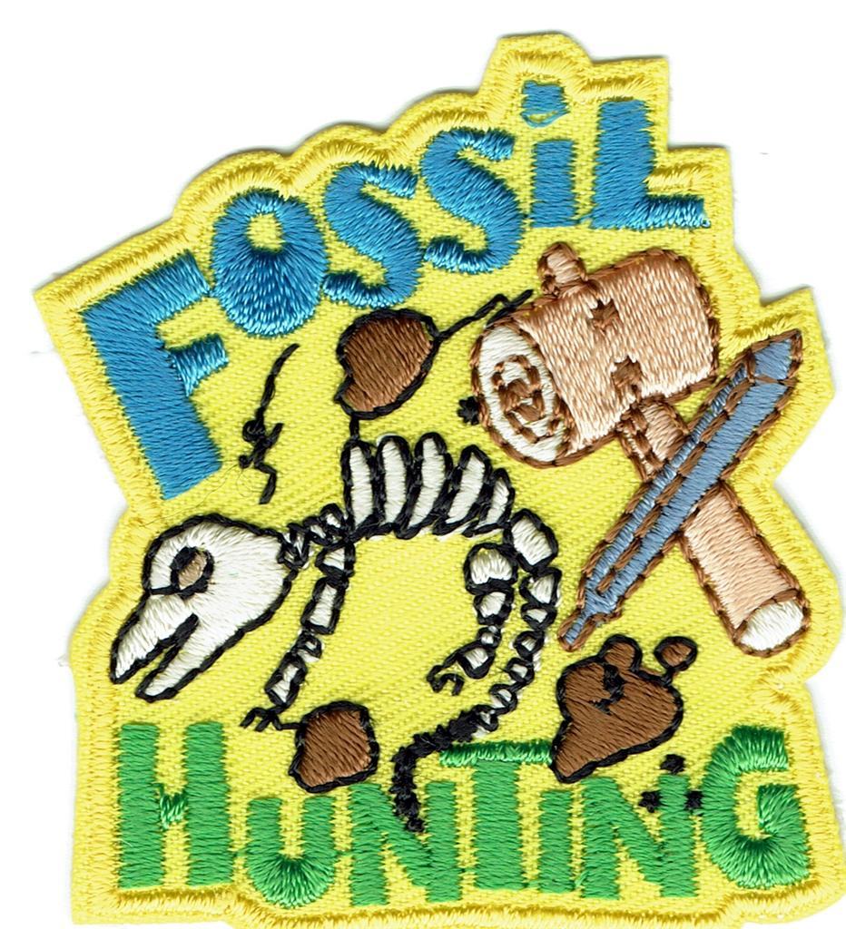 Girl Boy Cub FOSSIL HUNTING Hunt Fun Patches Crests Badges SCOUT GUIDE ...