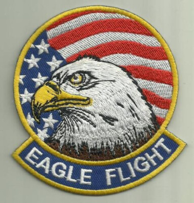 EAGLE FLIGHT F-15 AIRCRAFT PATCH USAF PILOT AVIATION USA FLAG FLY BALD ...