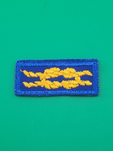 Cub Scout Den Leader Award Knot Patch BSA Plastic Back Scouts America ...