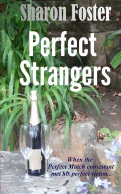 Perfect Strangers: When the Perfect Match contestant met his perfect ...