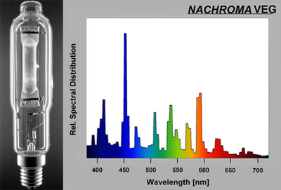 Flash Spectrum Metal Halide Lamps