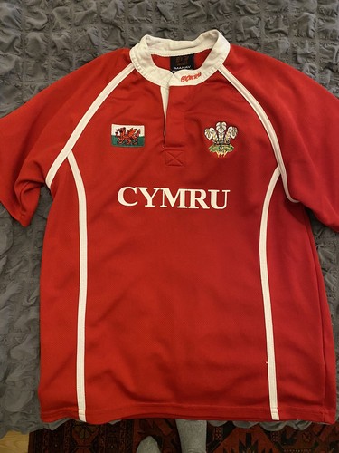 Kids Welsh Rugby Top Wales Rugby Shirt RED 6 Nations Boys Girls Youth ...