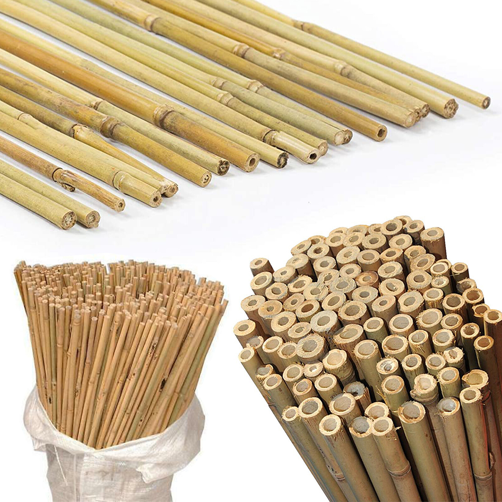 Bamboo Garden Heavy Duty Canes Thick Quality Plant Veg Support Cane ...