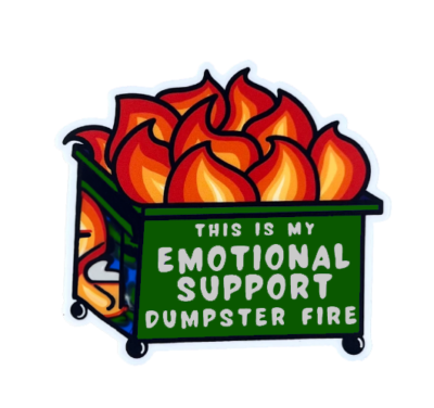 Memes Dumpster Dumpster Fires Funny Mug, 16 Oz. Mugs | Hallmark
