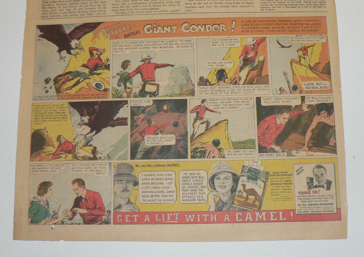 1936 Camel Cigarettes, William LaVarre Battles Condor, Original ...