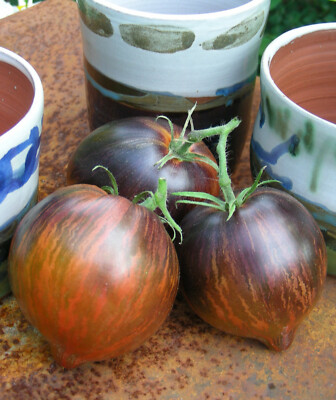 Rebel Starfighter Prime Tomato : 20 Seeds | eBay UK