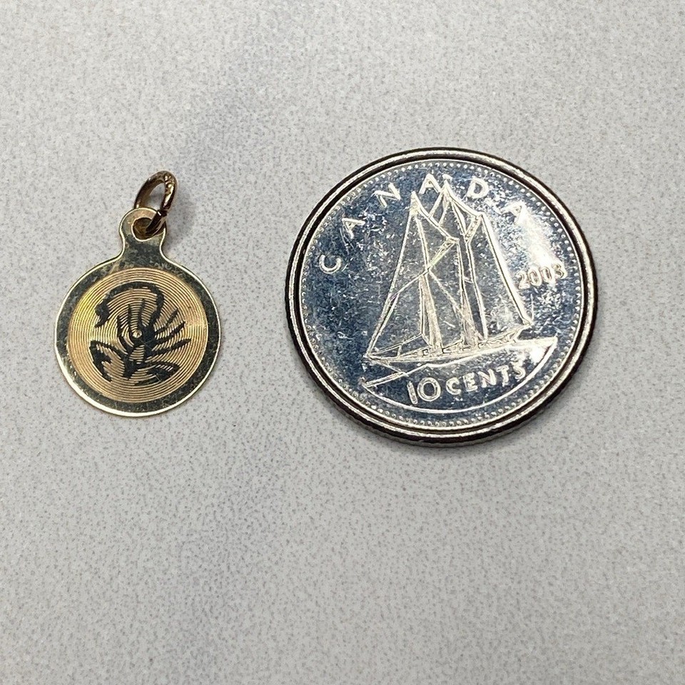 10K yellow gold scorpio scorpion pendant disc vintage | eBay