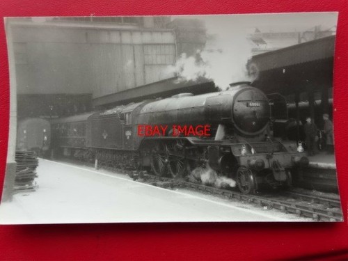 PHOTO LNER CLASS A3 LOCO 60061 PRETTY POLLY | eBay