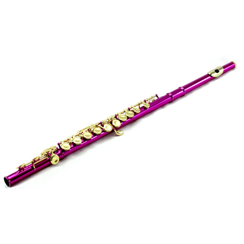 Metallic Hot Pink Flute with Gold Keys. Band Approved | eBay