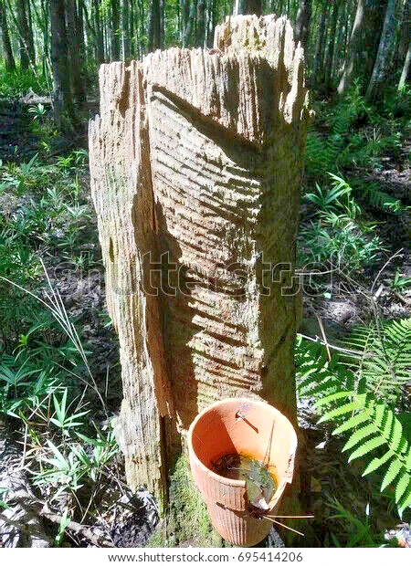 VINTAGE HERTY RED TERRACOTTA CLAY TURPENTINE CUP & APRONS Pine TREE Sap ...