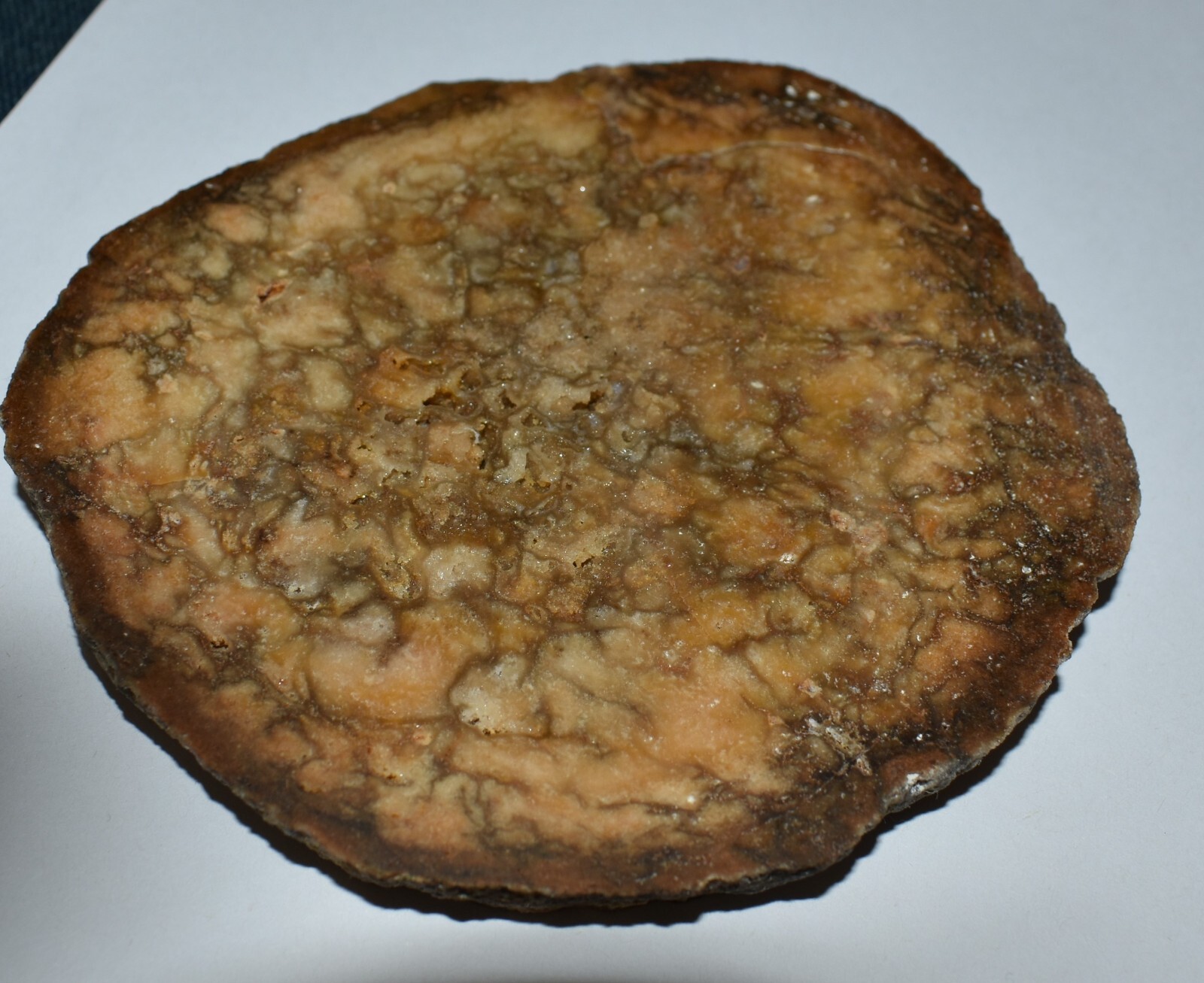 Brain Geode Drusy Chalcedony from North Carolina USA Polished Slab | eBay