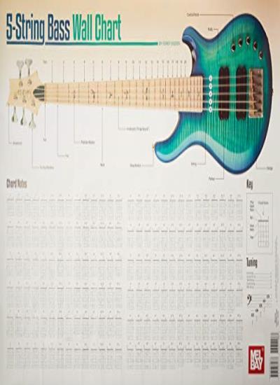 5-String Bass Guitar Wall Chart, Various New 9780786685677 Fast Free ...