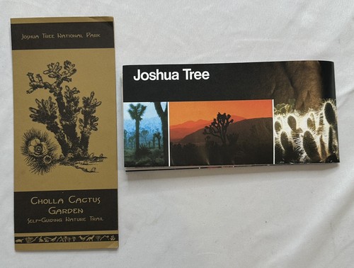 Joshua Tree National Park Circa 1998 Vintage Map And Cholla Cactus ...