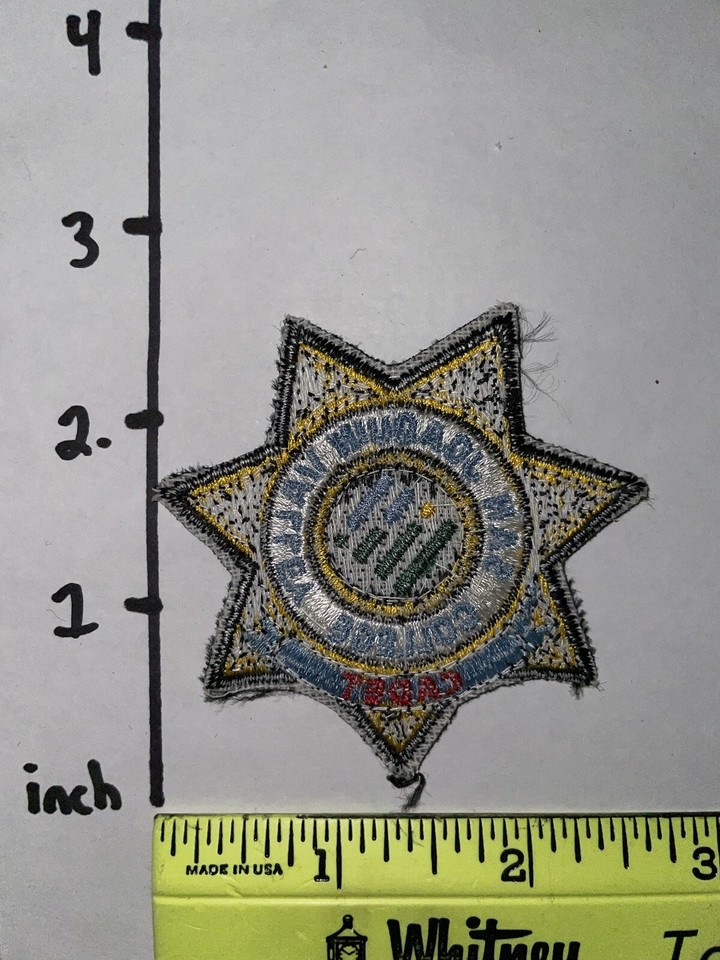 San Joaquin Valley California (CA) College Police Cadet Patch | eBay