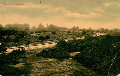 SHENFIELD COMMON ESSEX - POSTCARD | eBay UK