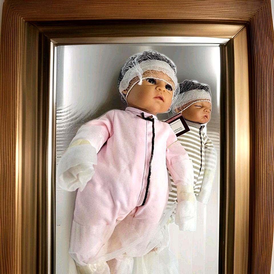 Ashton-Drake Waltraud Hanl "Jada And Jayden" Poseable Twin Baby Doll ...
