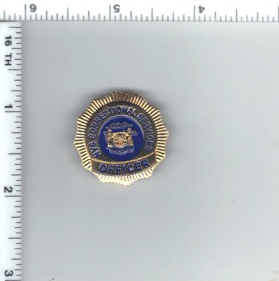 New York State Department of Correctional Services (DOCS) Officer Mini ...