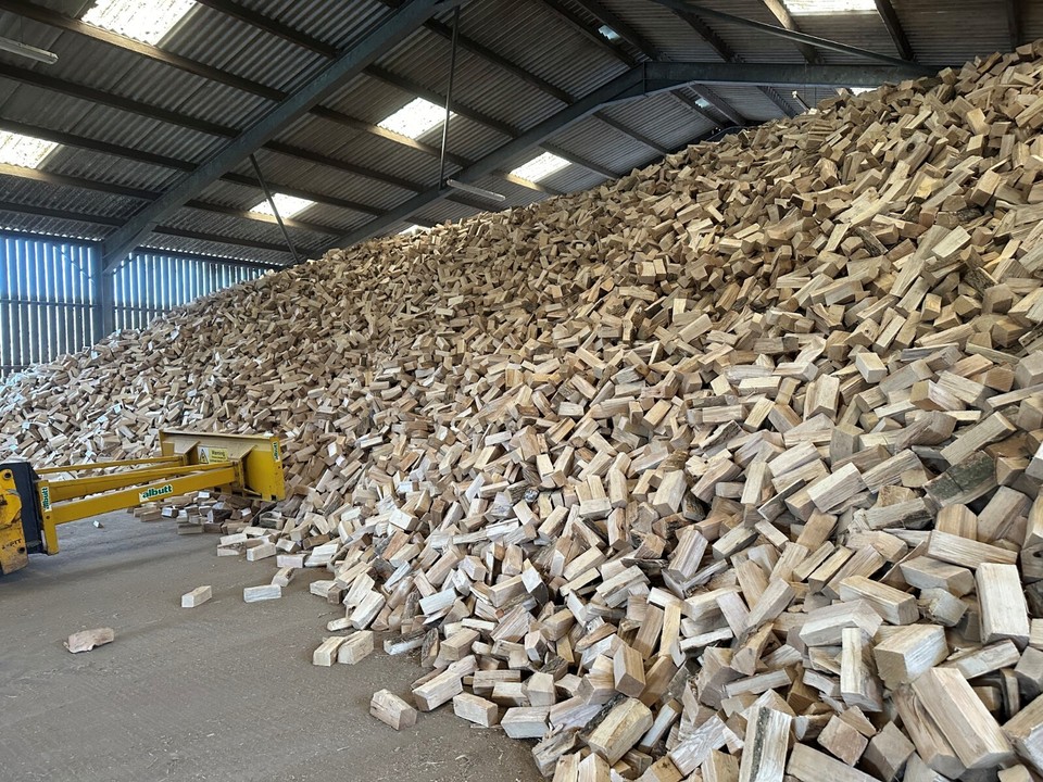 Wholesale Firewood: Green Unseasoned Hardwood Logs (95% Ash) 60-65m3 ...