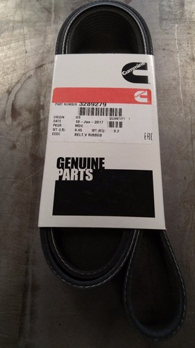 CUMMINS BELT,V RIBBED 3289279 | eBay