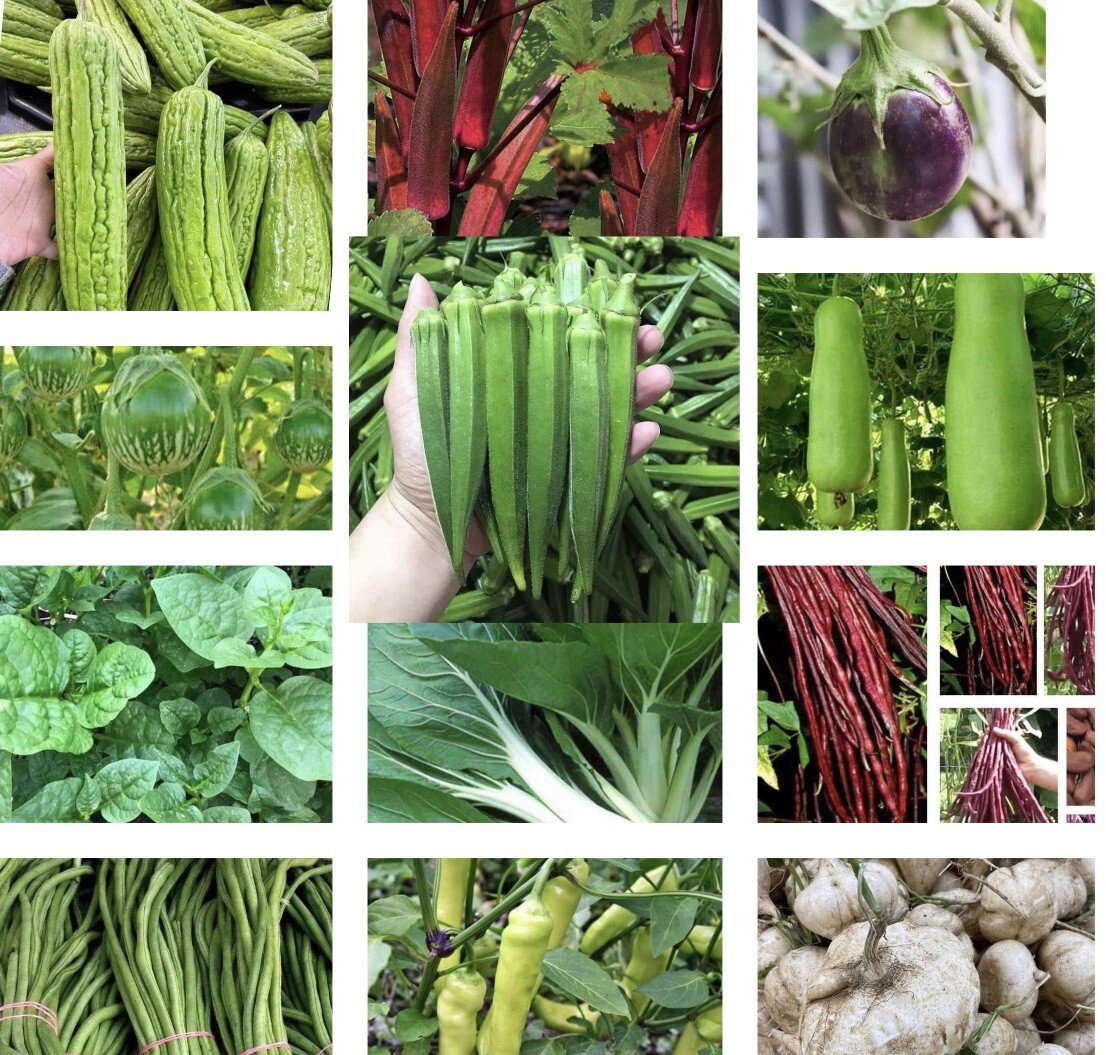 Set of 20- Asian Vegetable Seeds for Planting. Grow Your Food! | eBay