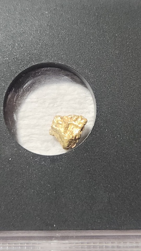 MEXICO Gold Nugget NGC Vault Box 0.99g | eBay