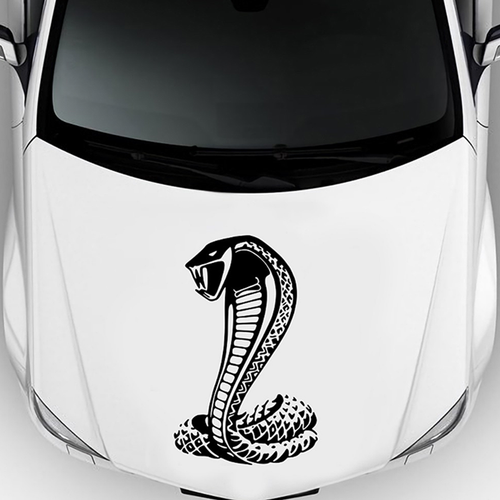 Car Bumper Body Hood Door Sticker Decals Trim Cobra Snake Reptile ...