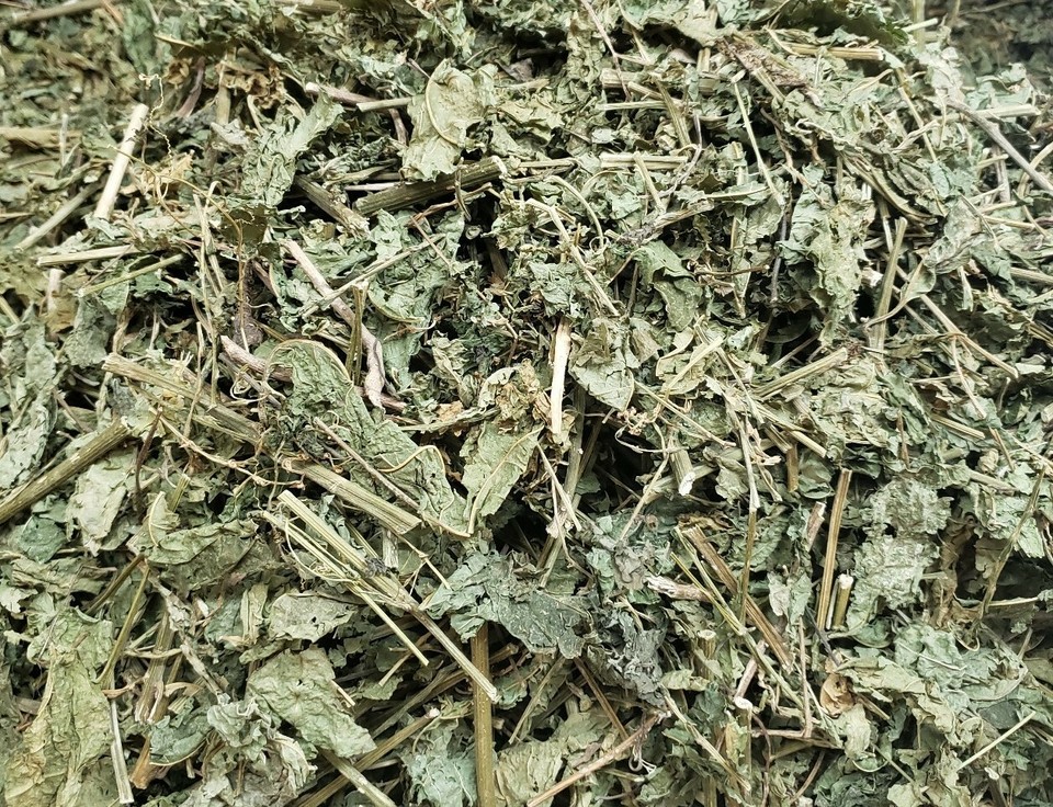 ANAMU 200 GR GUINEA HEN WEED (PETIVERIA ALLIACEA) 100 % NATURAL FROM ...