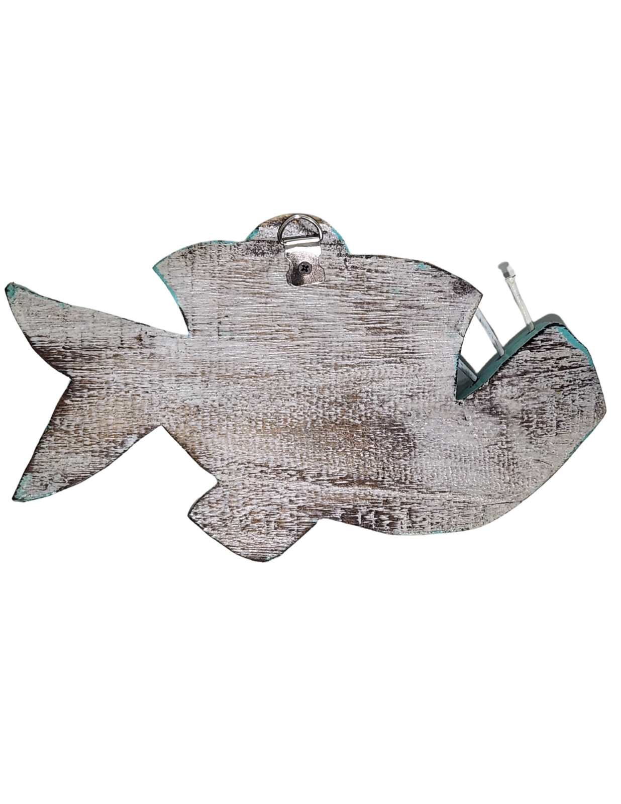 Set of 3 Wall Hanging Piranha Angler NAIL BITER FISH Nautical ...