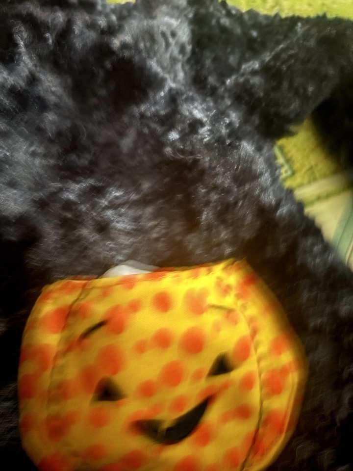 GUND Baby Spooky Boo-tique Black Cat Halloween Coat with Pocket Toy 12 ...