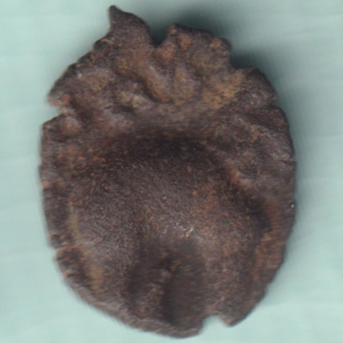 ANCIENT INDIA SATVAHANA ELEPHANT POTIN RARE COPPER COIN | eBay