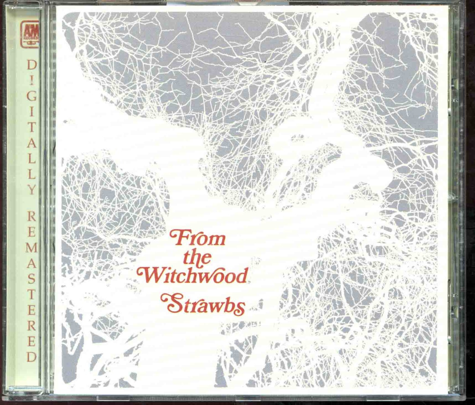 From the Witchwood by The Strawbs (CD, 2006) for sale online | eBay