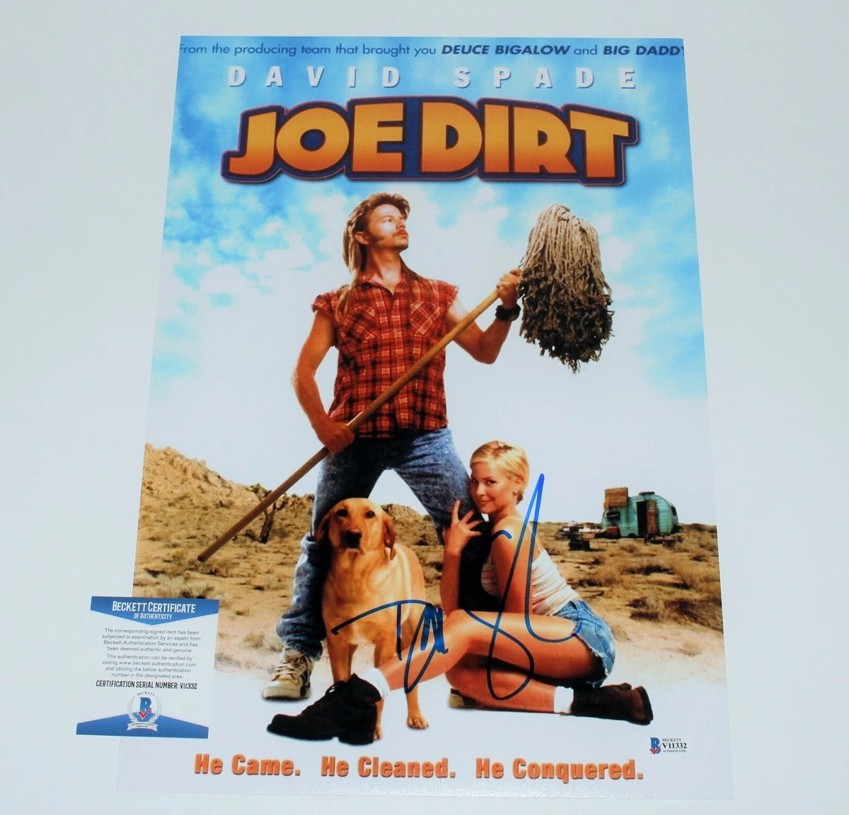 Joe Dirt Movie Poster
