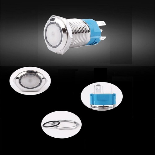 Reliable Self Reset Push Button Switch (19mm 12 24V Stainless Steel ...