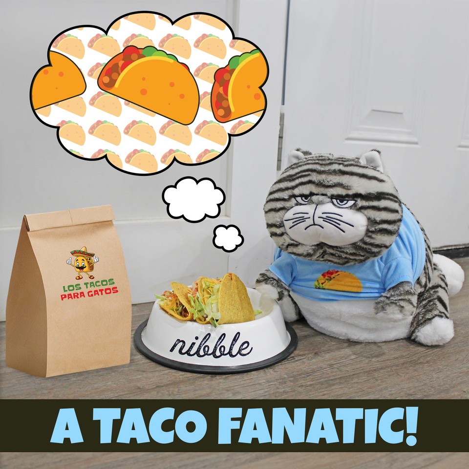 Chonky Cat Weighted Plush, Stuffed Fat Cat Plush Animal Toy, Autism ...