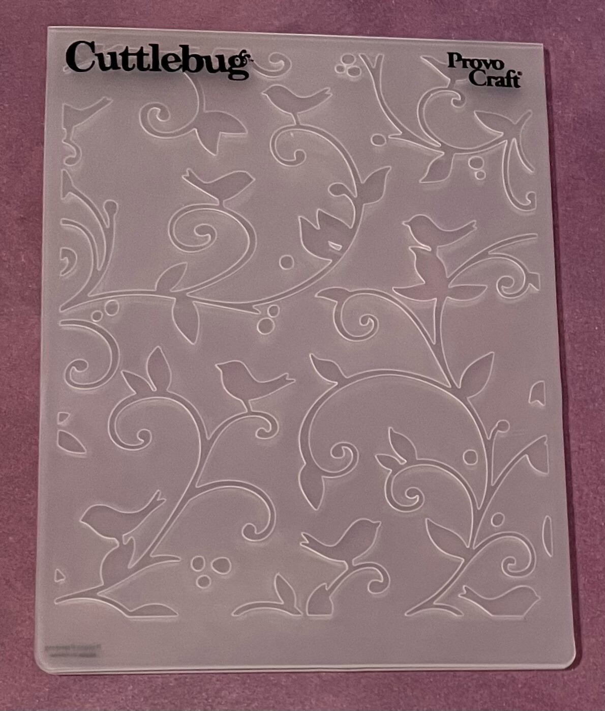 Birds And Swirls Cuttle Bug Embossing Folder | eBay