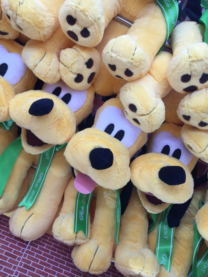 New Disney Pluto 2018 Collar Plush Roughly 13” Tall Toreba Japan | eBay