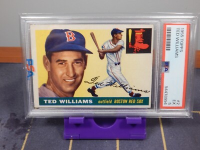 1955 Topps Ted Williams PSA 5 Free Shipping | eBay