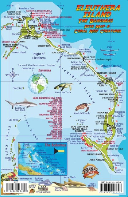 Eleuthera Island Bahamas Dive Map Reef Creatures Laminated Fish Card ...