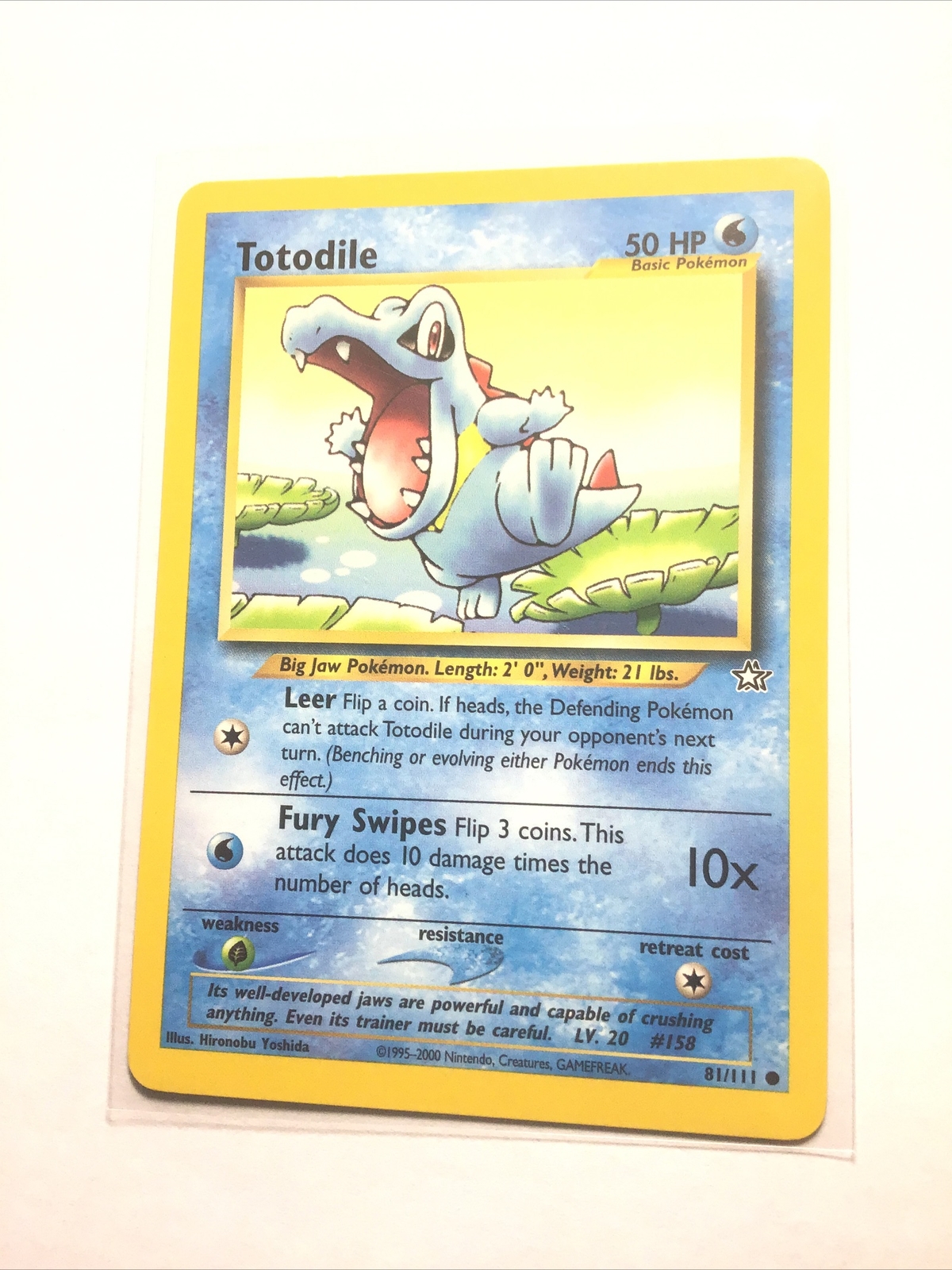TOTODILE - 81/111 - Neo Genesis - Pokemon Card - NM | eBay