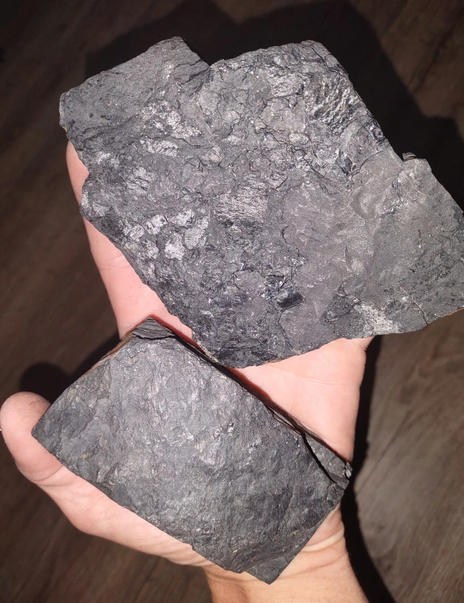 Real Coal