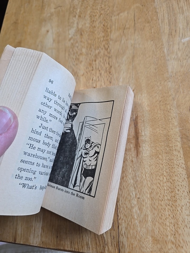 Vintage 1969 DC Comics Batman The Cheetah Caper Whitman Big Little Book ...