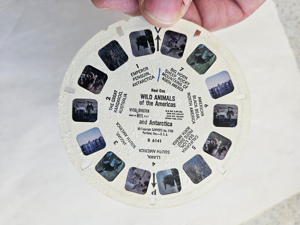 Wild Animals of the World View Master Packet B614 3 Reel Set & Book ...