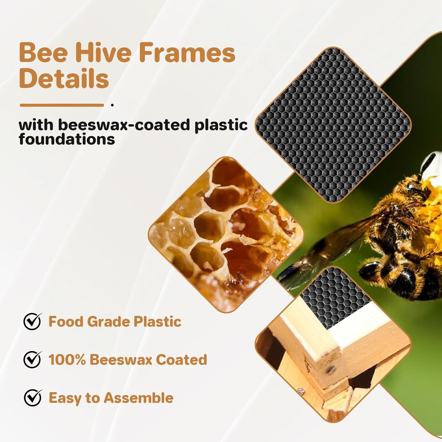 10-Frame Deep Brood Box Wax Coated Bee Hives w/ Beehives Frames Wax ...