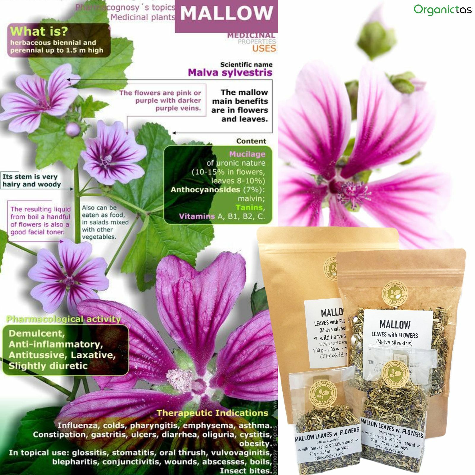 Natural MALLOW LEAF & FLOWER (Malva sylvestris) Dried Wild Harvest ...