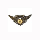 Wing USN Navy Combat Aircrew 2 in Collectible Lapel Pin | eBay