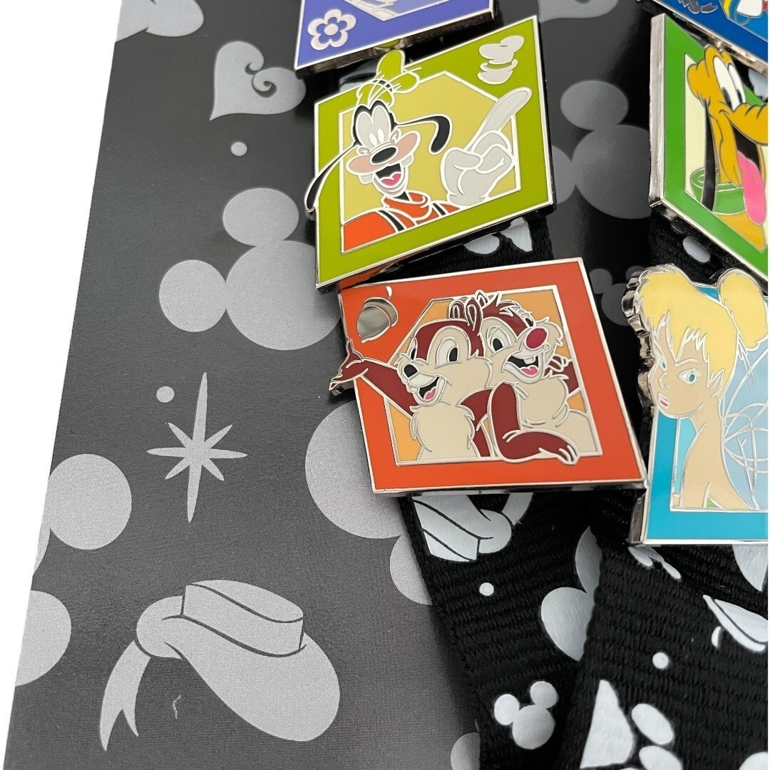 Disney Parks Mickey Mouse and Friends Lanyard 8 Pin Starter Set | eBay