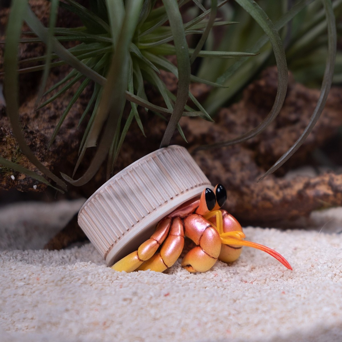 Hermit Crab Bottle