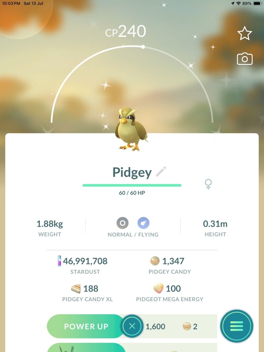 Pidgey Pokemon Go