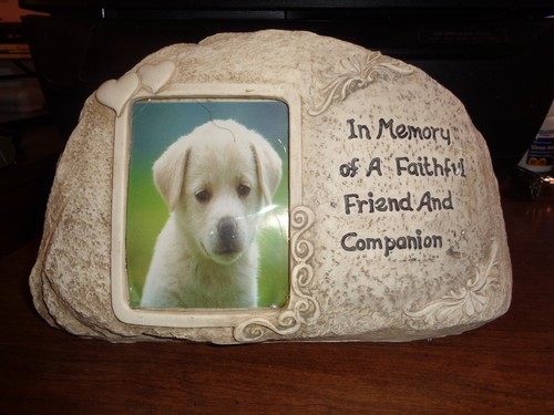 Pet Memorial Stone, in Memory Of A Faithful Friend And Companion” place ...