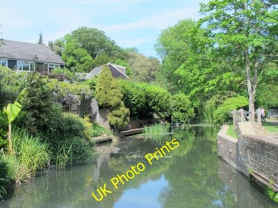 Photo 6x4 Young trees, Strathmashie Forest Feagour A clearing, now ...